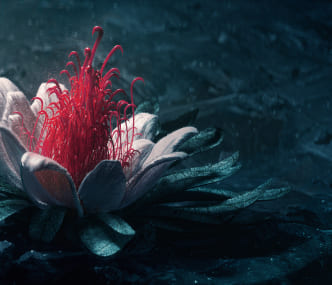 Home Version 3 – Sunucun